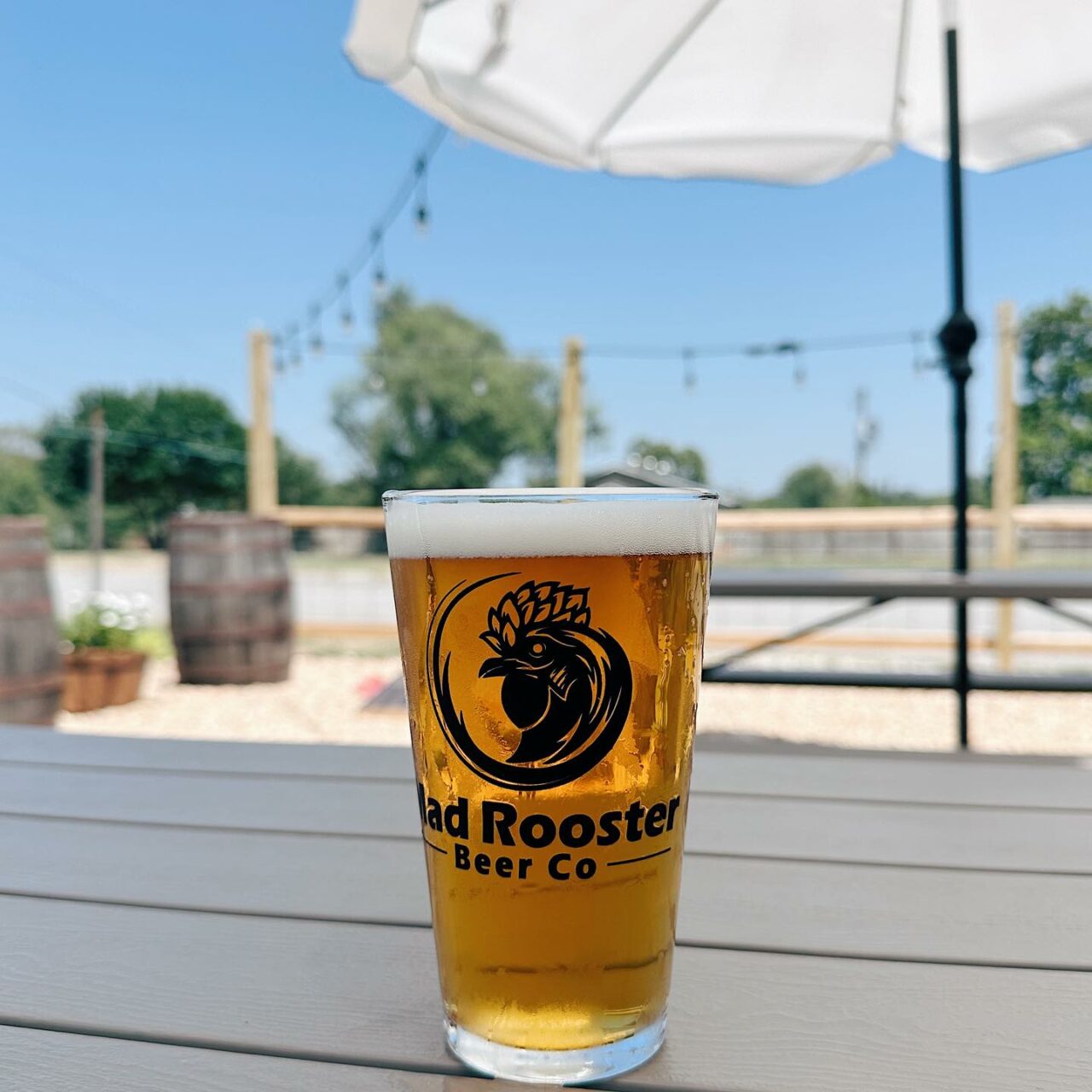 Home - Mad Rooster Beer